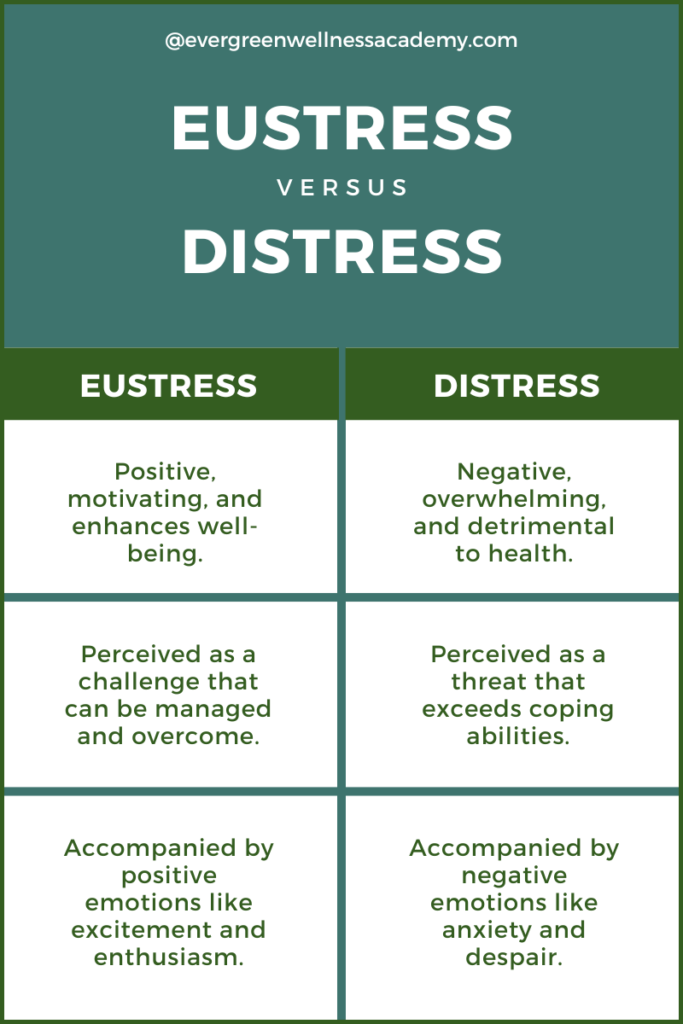 Stress Management 101: How to Handle Stress and Regain Balance