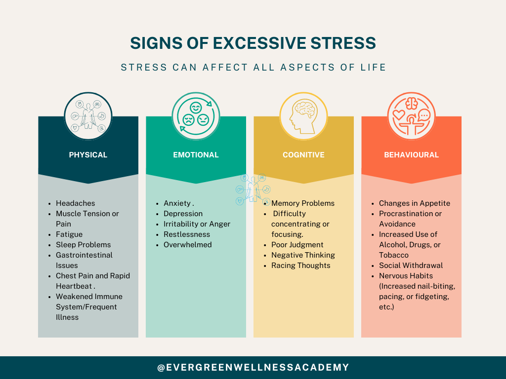 Stress Management 101: How to Handle Stress and Regain Balance